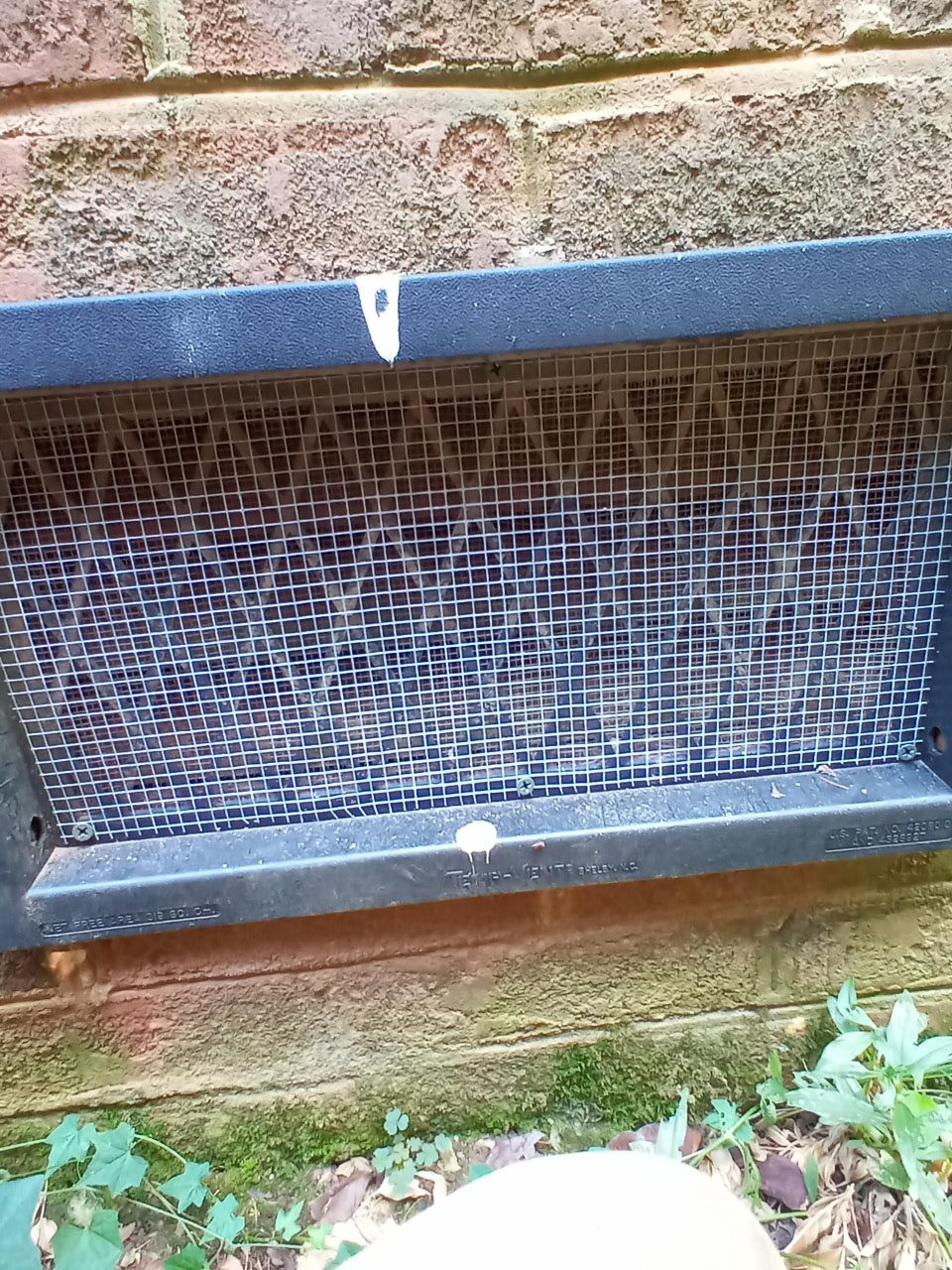 Wildlife Removal, Trapping & Exclusion Services in Metro Atlanta