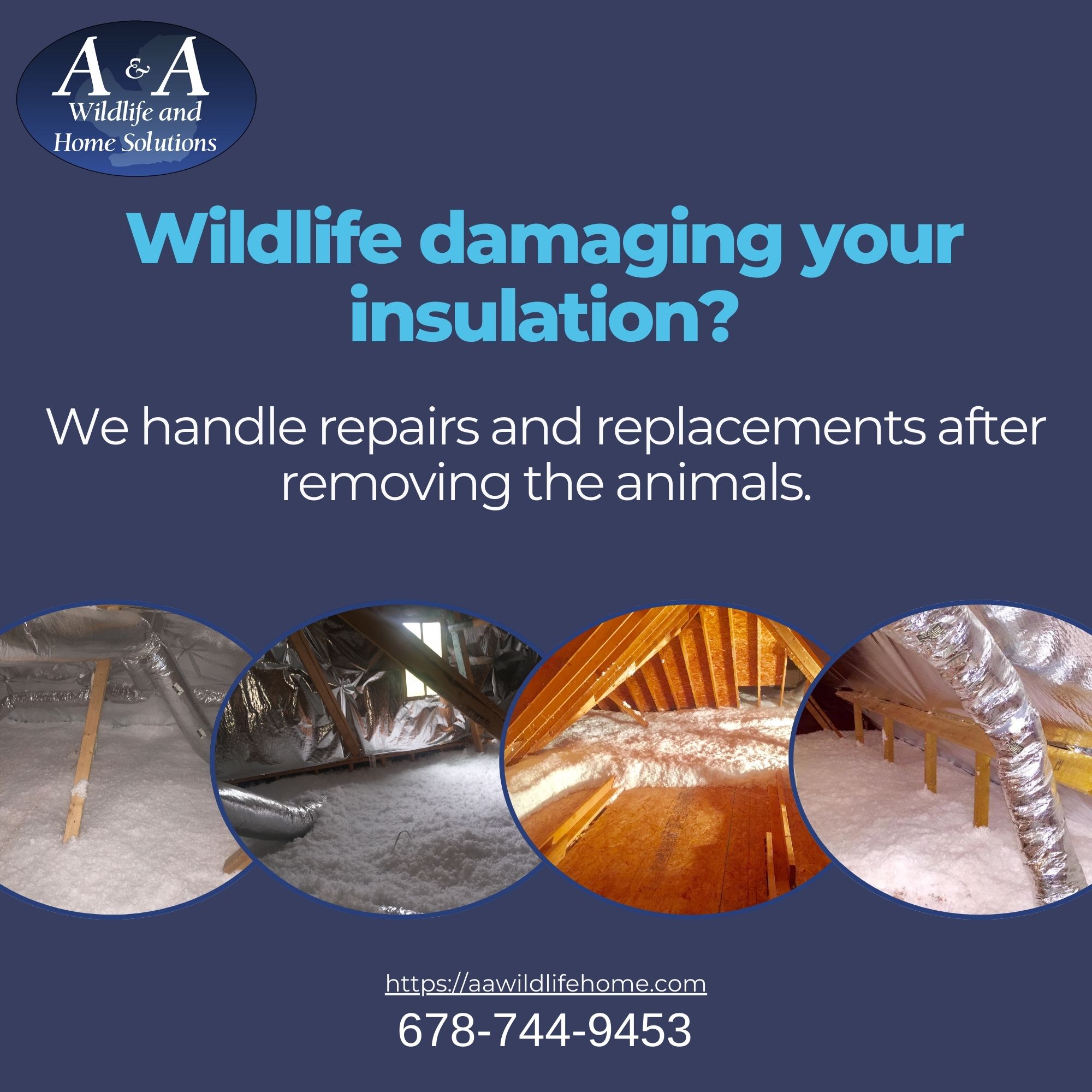 Atlanta Wildlife Removal and Rodent Control - Homepage