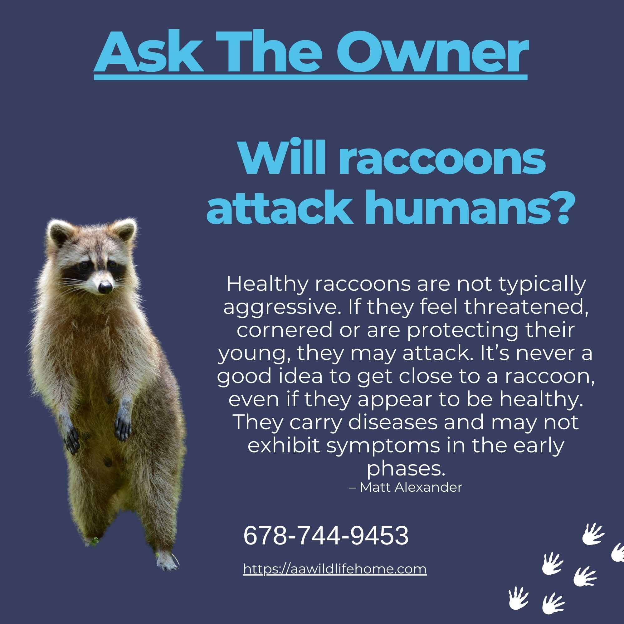 Atlanta Wildlife Removal and Rodent Control - Homepage
